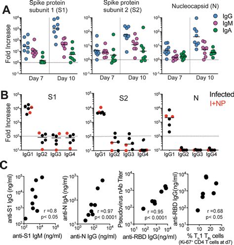 Igg1 Subclass And Neutralizing Antibodies Induced Following Sars Cov 2