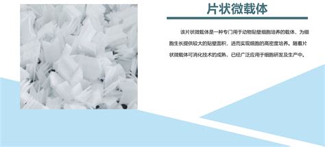 片状微载体 耗材及试剂 产品中心 GOLD SIM 金西盟国际集团