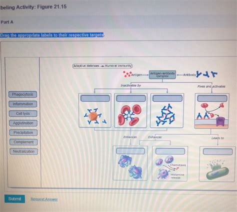 Solved It 1 Homework Endo Heart Ncept Map Determining Chegg