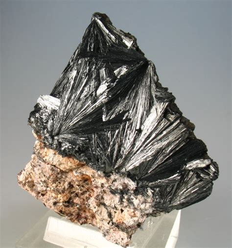 E Rocks Mineral Auctions