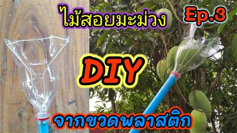 Diy ไม้สอยมะม่วงจากขวดพลาสติก Ep 3 Youtube