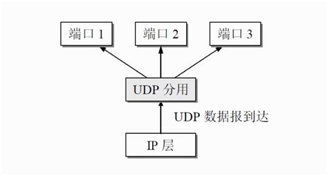 【netty学习】8 udp协议 kezade