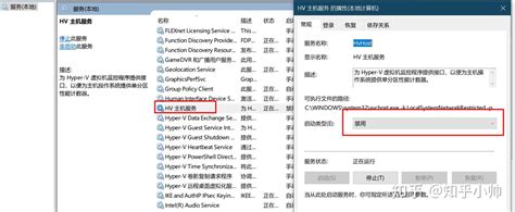 插曲VMware Workstation 与 Device Credential Guard不兼容 知乎