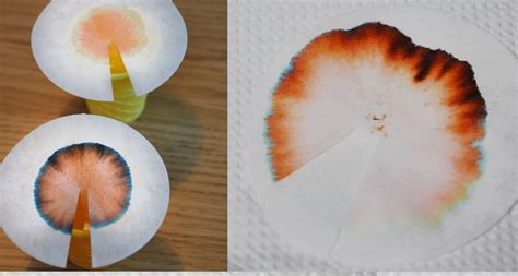 Simplest Chromatography Experiment