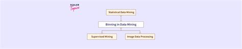 What Is Binning In Data Mining Scaler Topics