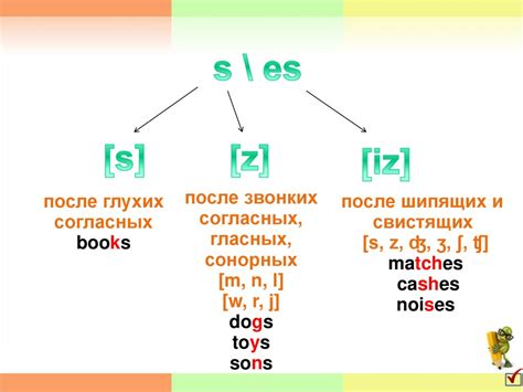 Множественное число существительных презентация онлайн