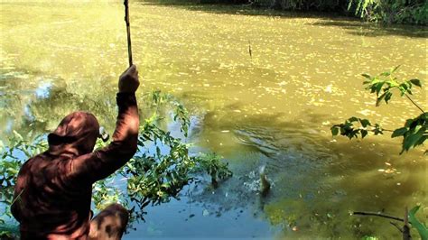 НА ПОПЛАВОК В ЛУЖЕ ЛОВЛЮ СЕБЕ УЖИН РЫБАЛКА В ЛЕСНОЙ ГЛУШИ Youtube