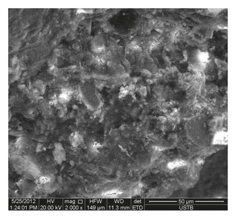 Sem Analysis Of Saline Soil Solidified Using The Two Solidifying Sem Analysis Of Saline Soil Solidified Using The Two Solidifying