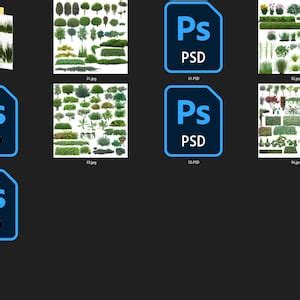 Real Groundcover Garden Plant Overlays Photoshop Png Psd
