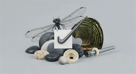 What Are The Eight Fundamental Ilo Conventions Core Conventions → Learn