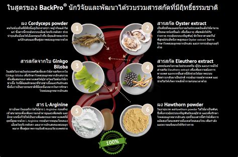Back-Pro คืออะไร?วิธีใช้ Back Pro ?ข้อดีของการใช้ผลิตภัณฑ์ Back-Pro ...