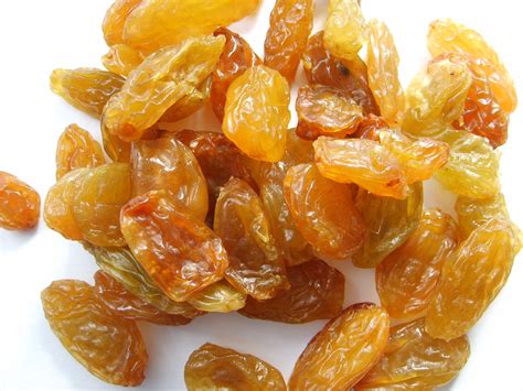 Raisin Definition History Drying Uses Britannica