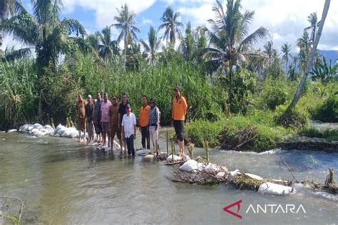 Sipon Irigasi Batang Gadis Anjlok Bupati Madina Surati Bws Antara