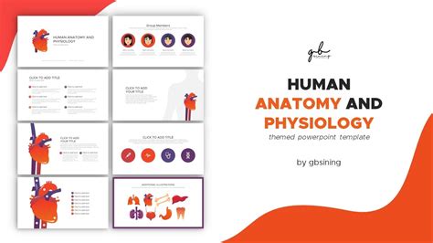 Anatomy Powerpoint Templates