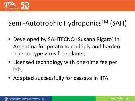 Semi Autotrophic Hydroponics A Robust High Ratio Propagation Technique