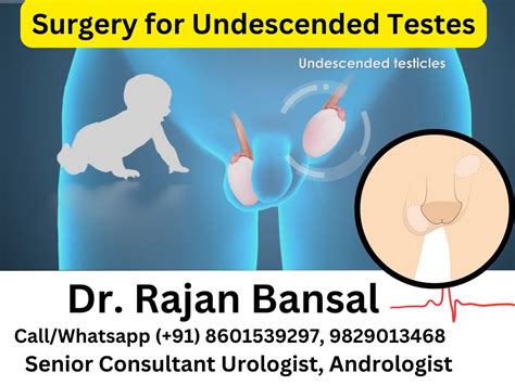 Can The Prostate Regrow After Prostate Surgery