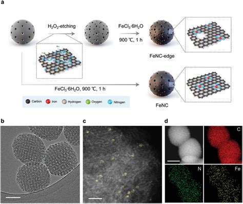 Synthesis And Structural Characterization Of Fenc‐edge A Schematic Download Scientific