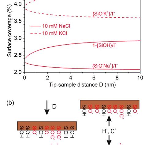 A Fraction Of Total Deprotonated And Ion Occupied Surface Sites In Download Scientific