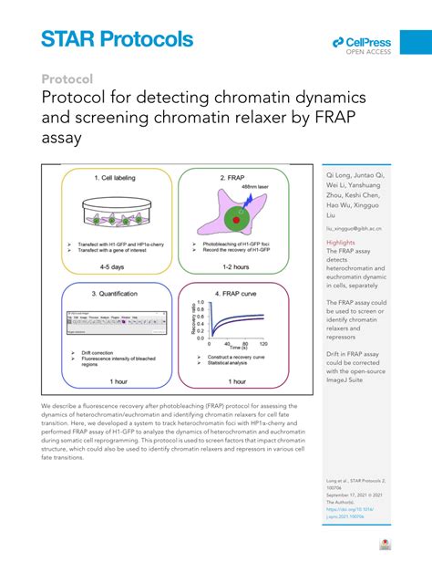Pdf Protocol For Detecting Chromatin Dynamics And Screening Chromatin