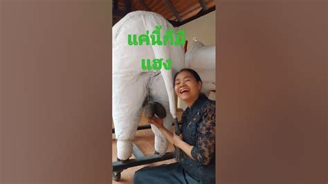แค่นี้ก็มีแฮง ไข่ม้า หัวเราะ ขำๆ คริปตลกๆ Youtube