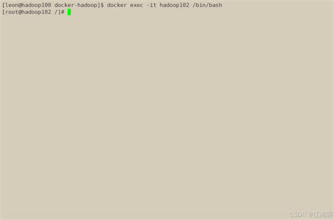 docker部署hadoop集群 csdn博客