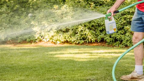 Fast Vs Slow Release Fertilizer Which Is Best For A Healthy Lawn