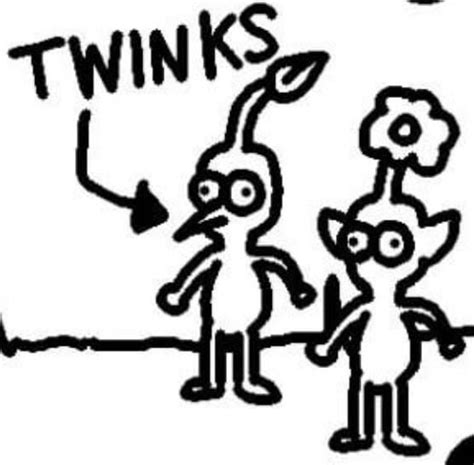 Do Not Get Pikmin 4 Read This Rpikmin