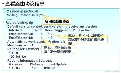 Aclnatnetwork Address Translation Rip