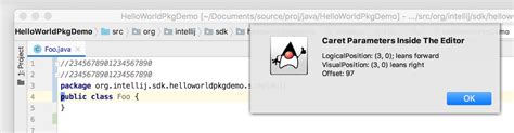 2 Editor Coordinates System Positions And Offsets Intellij Platform