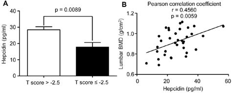 The Hepcidin Content Is Decreased In The Postmenopausal Women With