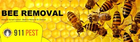 6 Proven Tips To Avoid Bee Stings 911 Pest