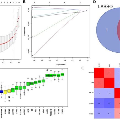 Feature Immune Related Genes Identified And Correlation Analysis A