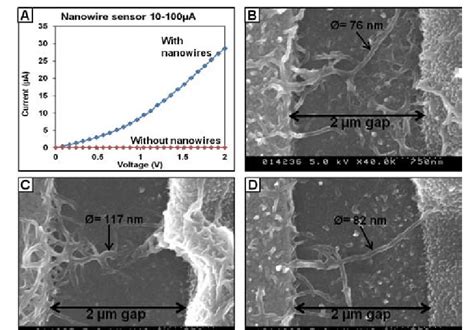A I V Curve Of The Sensor Device Measured Before And After