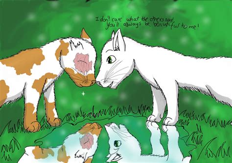 Brightheart And Cloudtail By Goldenheart06 On Deviantart