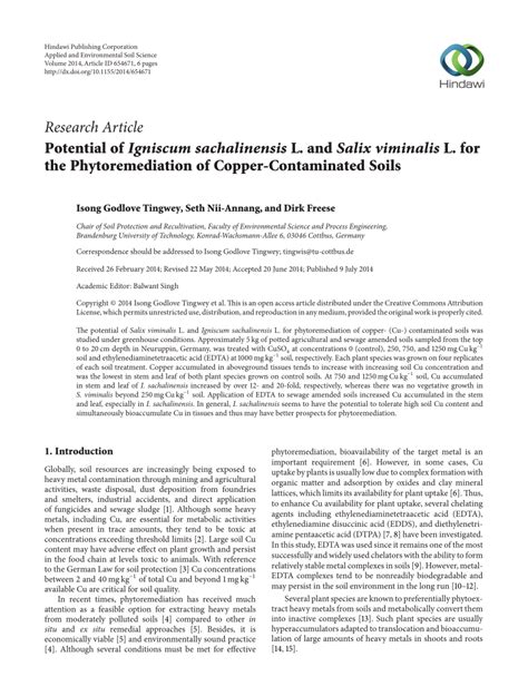 Pdf Potential Of Igniscum Sachalinensis L And Salix Viminalis L For The Phytoremediation Of