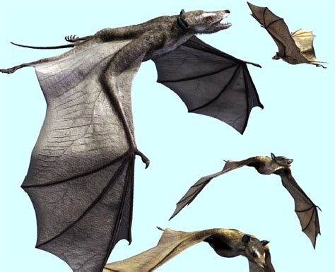 Icaronycteris Dinopedia Fandom Powered By Wikia