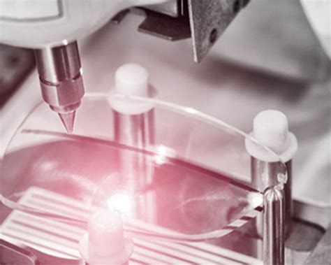 半导体模具 半导体封装模具 切筋成型 排片机 半导体塑封模具 胜和精密