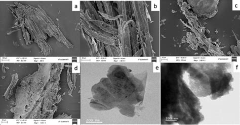 A B Fesem Micrographs Of Sd At Different Magnifications C D