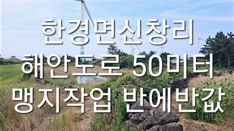 제주시 한경면 신창리 바닷가 맹지작업 1179평 시세반에반값 급매 010 4436 0401 제주도부동산 토지 매매