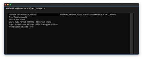Solved No Dialogue Found Error In Mono Wav Source File Adobe