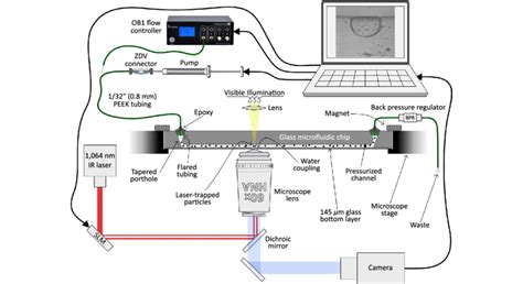 Schematic Representation Of Our High Pressure Microfluidic And Optical