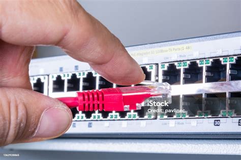 서버 스위치 P에 이더넷 케이블에 연결하는 엔지니어의 손 선반 제작물에 대한 스톡 사진 및 기타 이미지 선반 제작물 인간과 기계 컴퓨터 네트워크 Istock