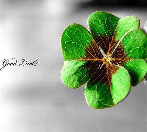Good Luck Hd Wallpaper Peakpx
