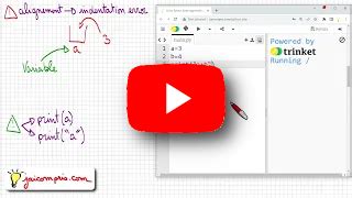 Python Print Afficher Du Texte Et Des Variables SNT