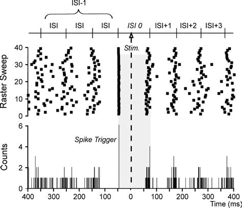 Methods Of Data Analysis Used The Effects Of Median Nerve Stimulation Download Scientific