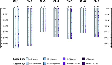 The Distribution Of Genes G And The Exome Capture Sequences E Download Scientific Diagram