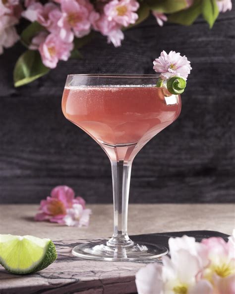 Choya Martini Choya Umeshu Usa