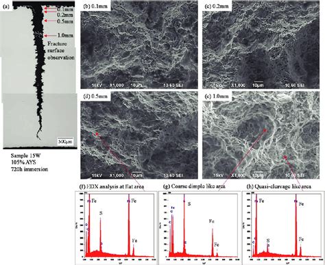 A Cross Sectional Observation Of Ssc Crack B C D E
