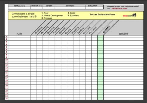 Soccer Evaluation Form Free Template Download