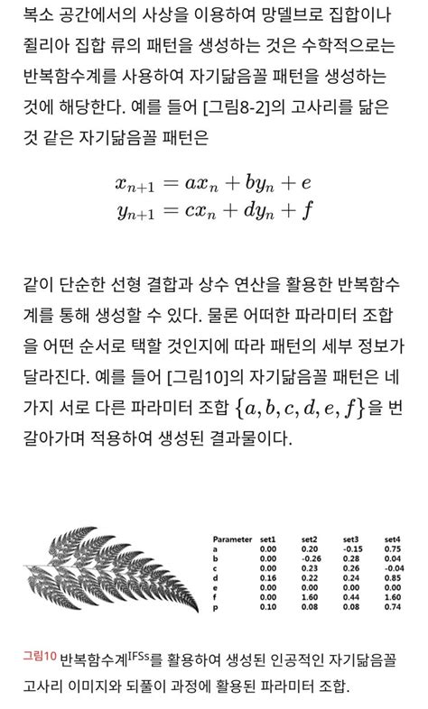 고사리 프랙탈 구조 지식in